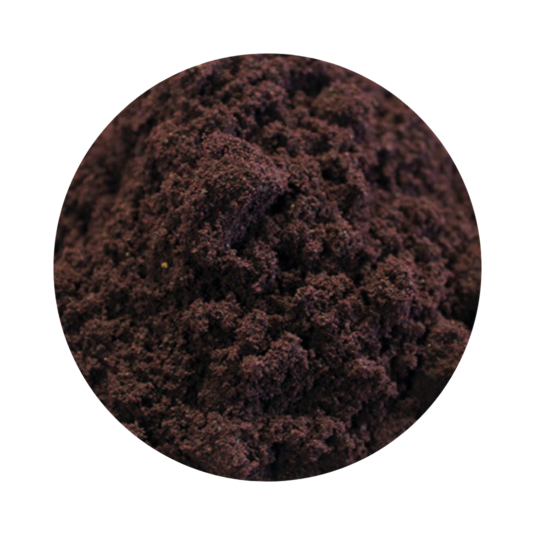Blueberry Powder (per 100g) – The Village Refill